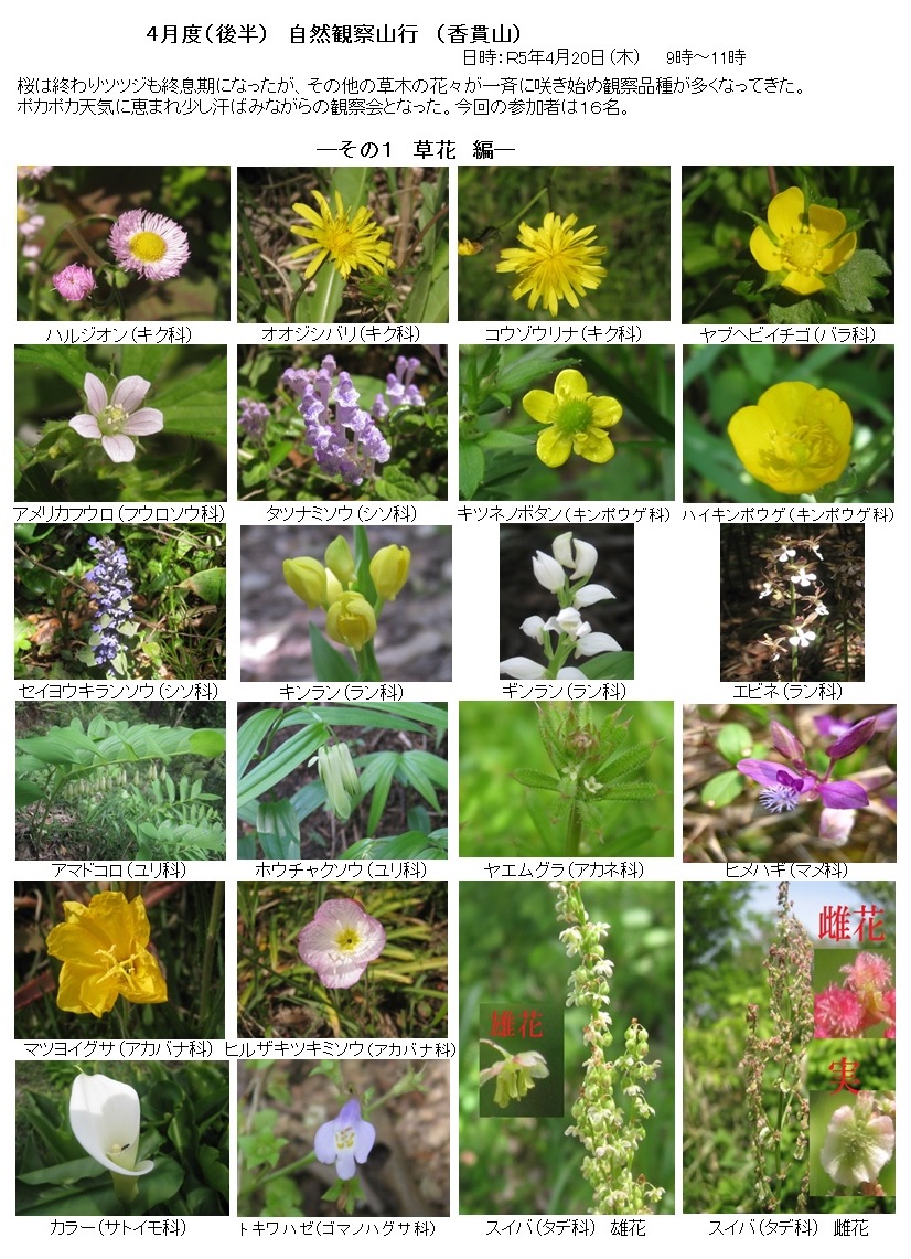 Copyright(C)Ryu ALL rights reserved.