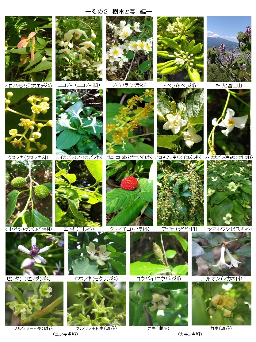 0000000000000000000000000000000000000000000000000