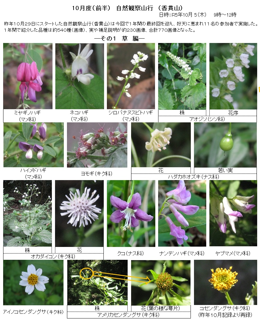 Copyright(C)Ryu ALL rights reserved.