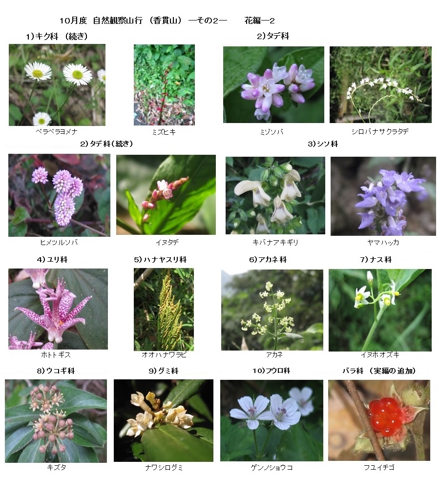 0000000000000000000000000000000000000000000000000