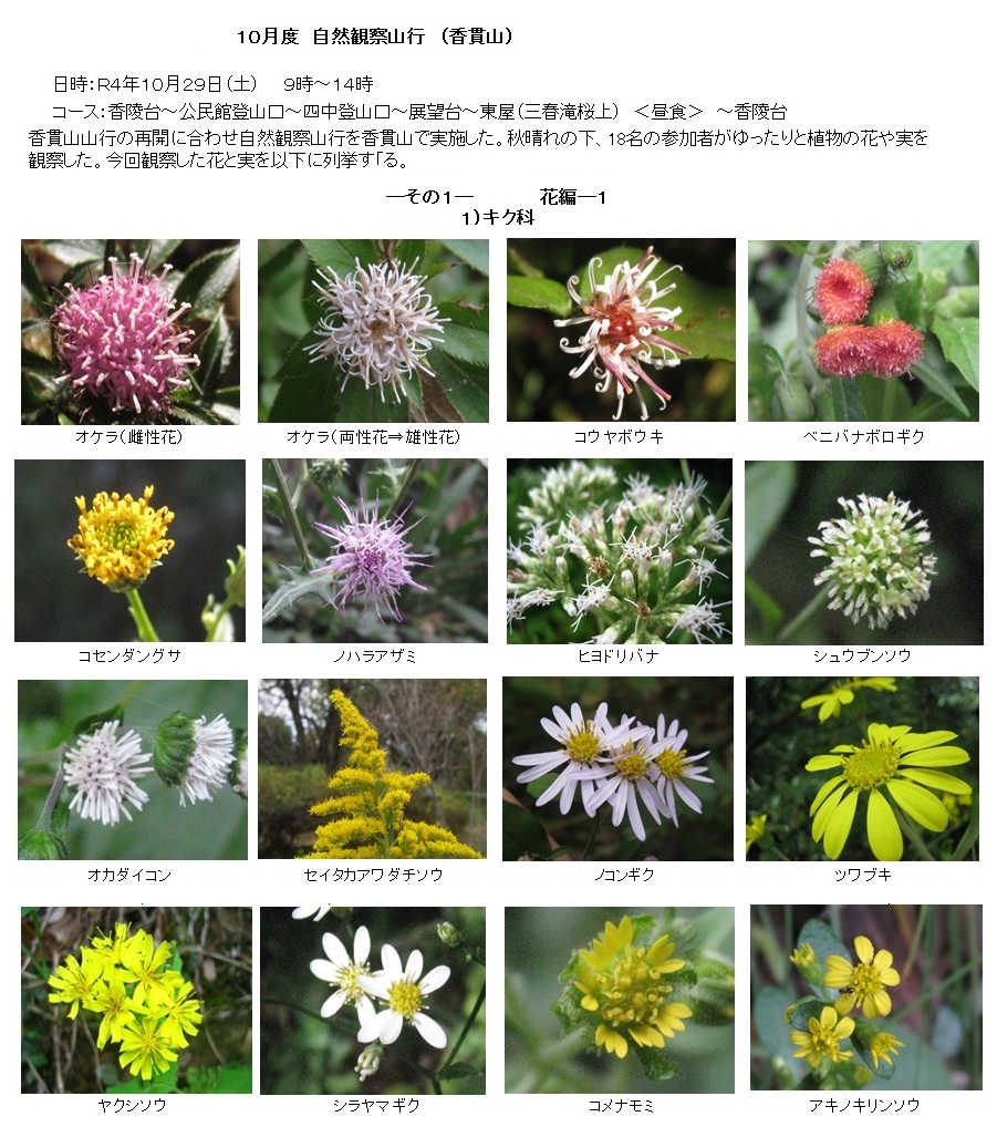 Copyright(C)Ryu ALL rights reserved.