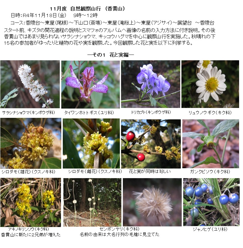 Њq\n0q\О‘Iѓы0 я я g